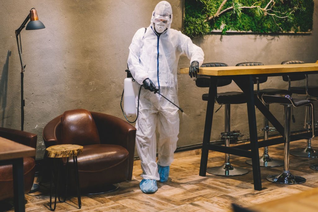 8 Easy Methods To Prevent Pest Infestations | Newton Pest Control